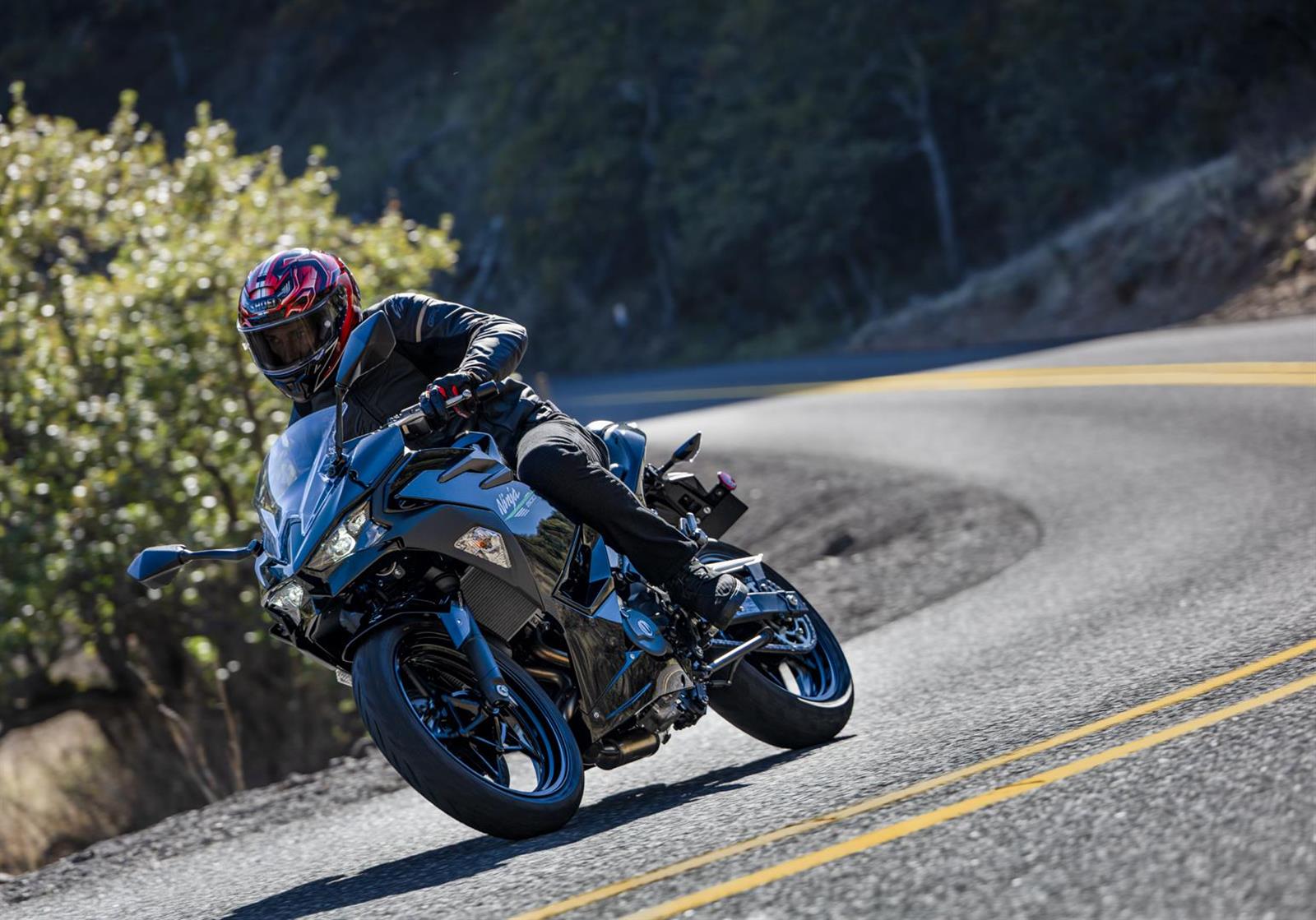 Ninja 500 MY 2024 - Kawasaki Norge