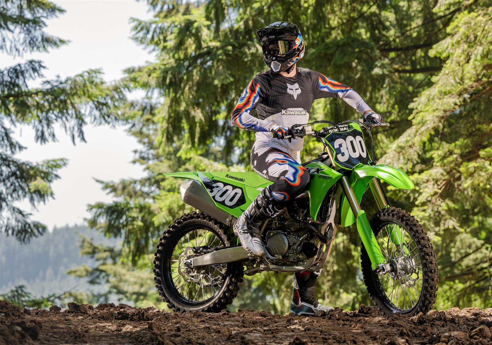 KX250 MY 2025 - Kawasaki Italia