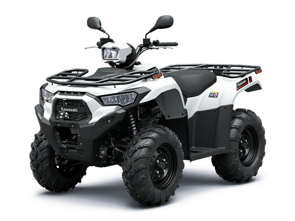 Brute Force 450 T-cat 2025