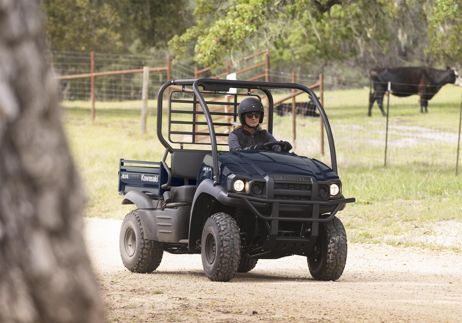 MULE SX | 2025 | Kawasaki België