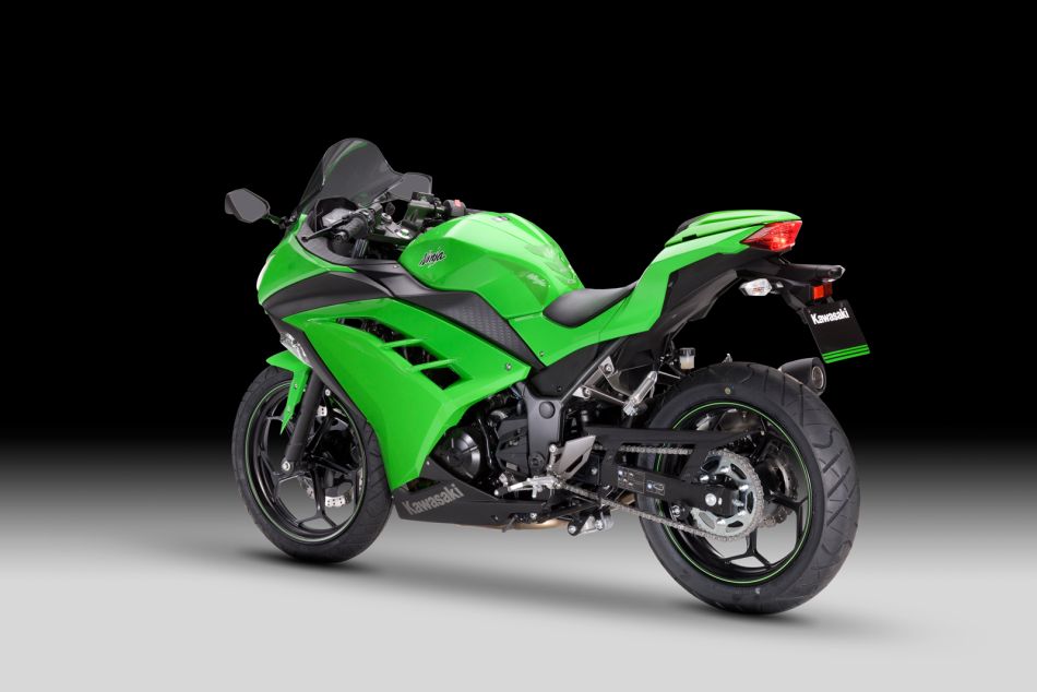 Ninja 300 Performance 2013