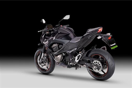 Z800 Performance 2013