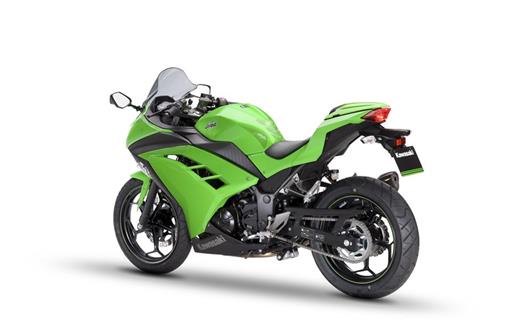 Ninja 300 Performance 2014
