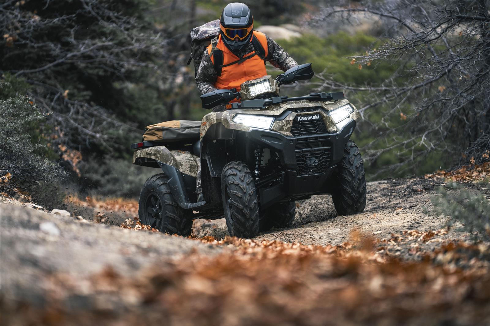 Nowy Kawasaki Brute Force (2024)